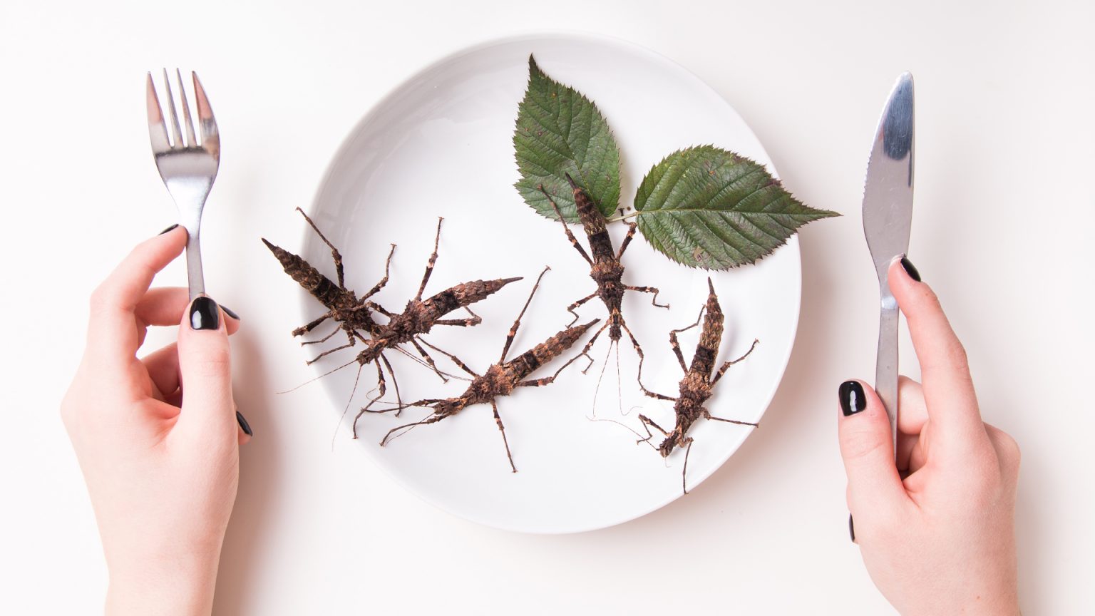 Could novel food save our planet? | Innovation News Network