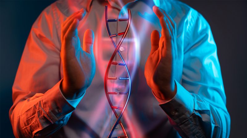 Bioinformatics research to generate 3D images of the human genome