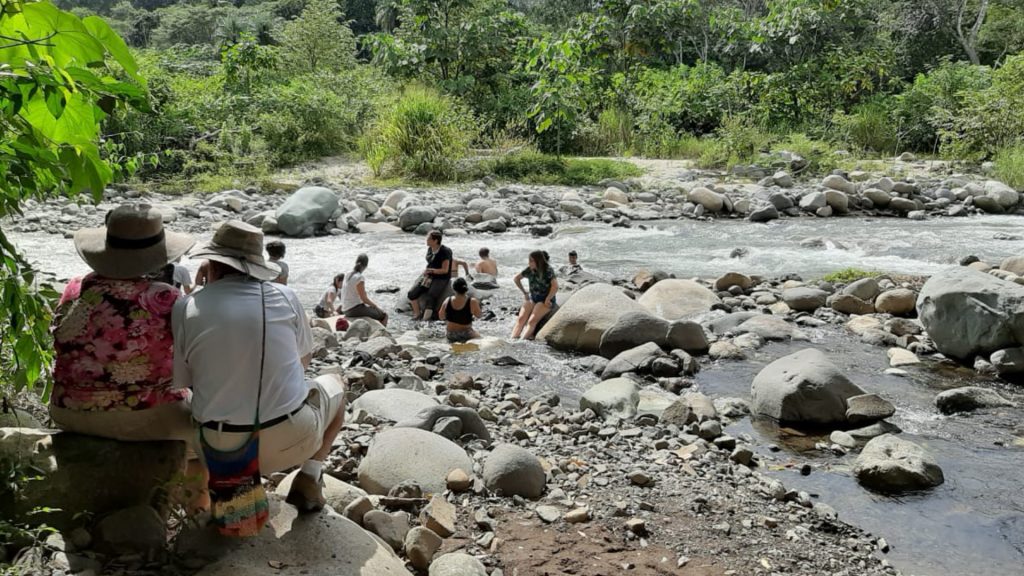 Using problem solving to redefine environmental education