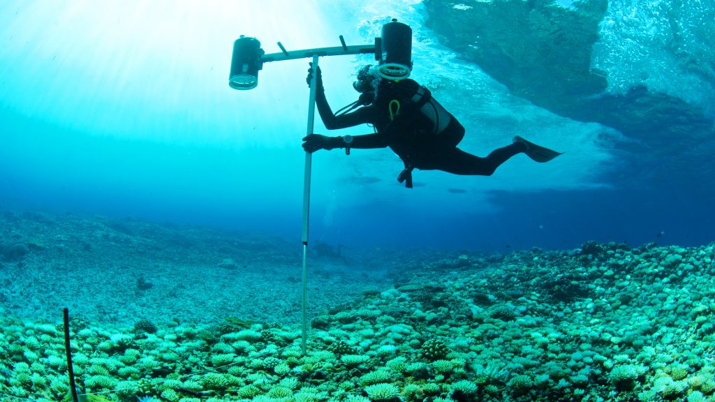 Ensuring the sustainable future of our oceans with marine science