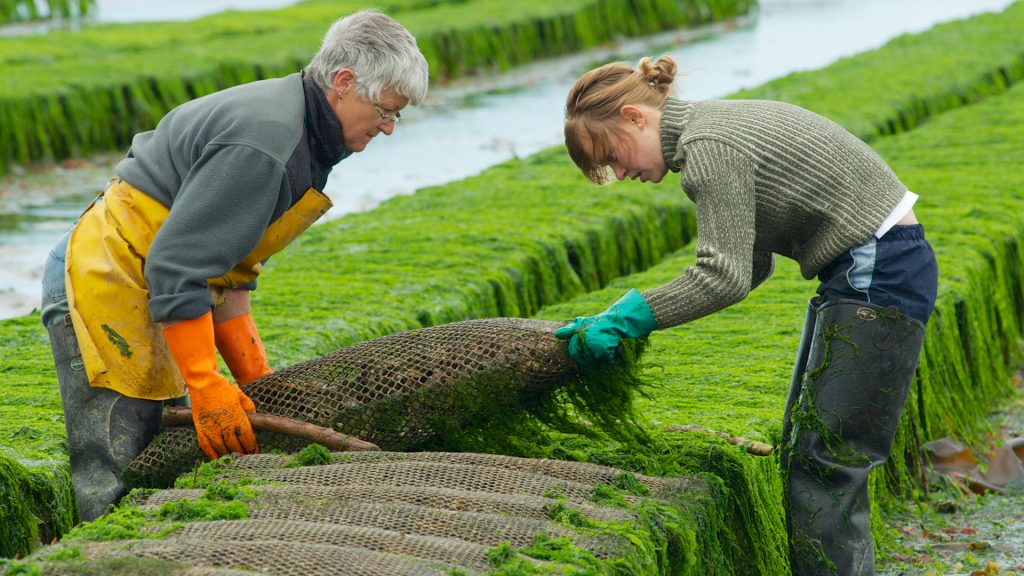 Setting the standards for the future of responsible seafood