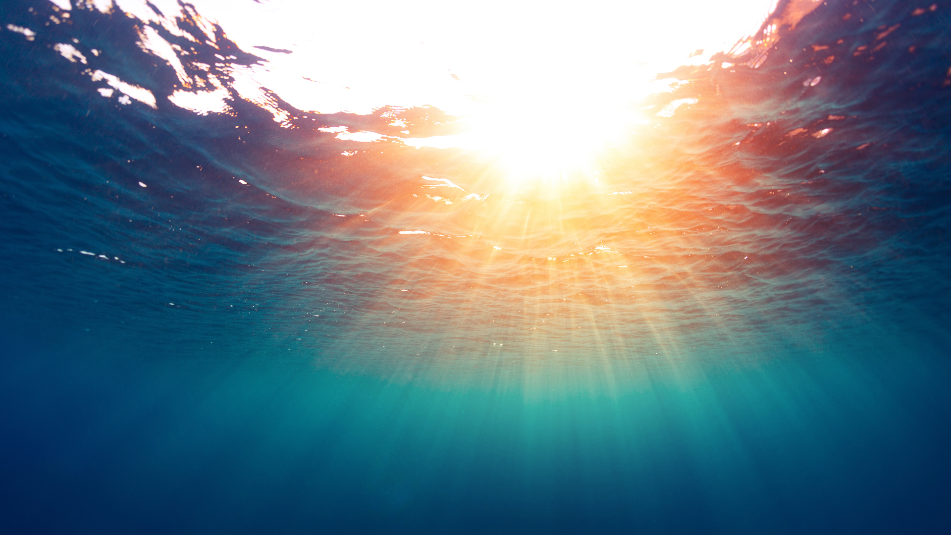 Index of /wp-content/uploads/2021/07/