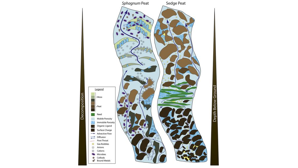 Investigating the impacts of climate change on northern peatlands