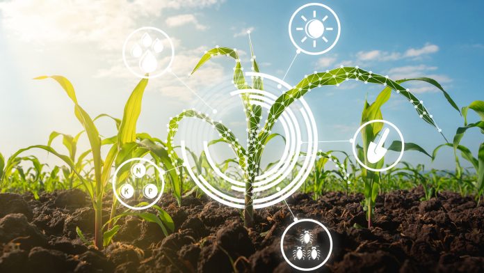 Innovative approach to agricultural precision Innovative approach to agricultural precision