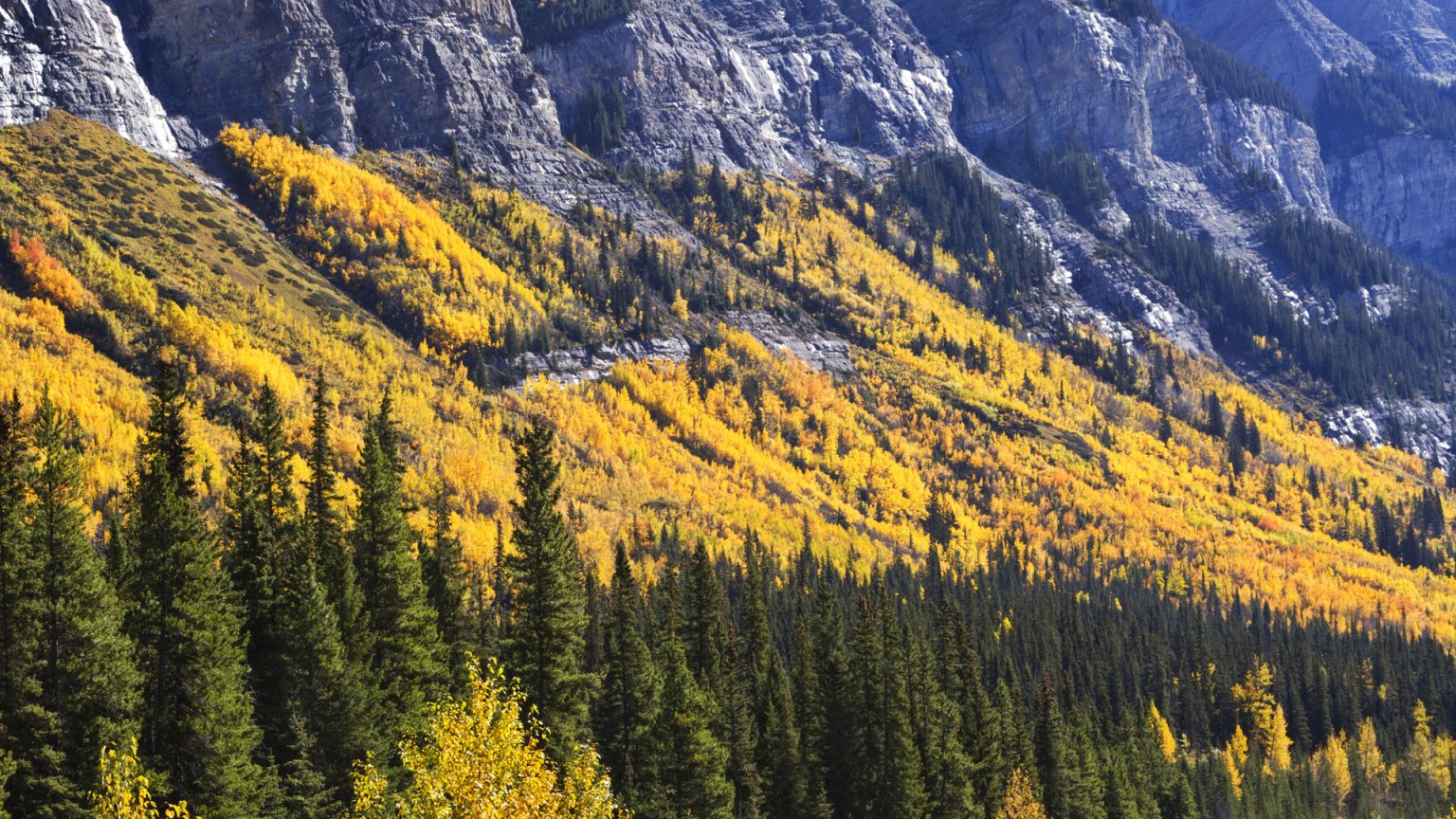 The promise of Alberta's mineral resources