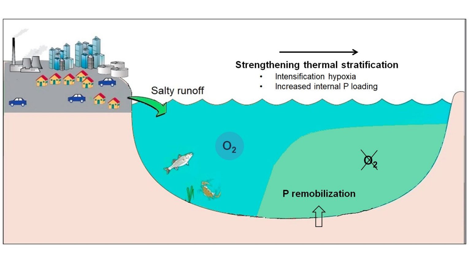 Road salt: The silent threat to urban lakes