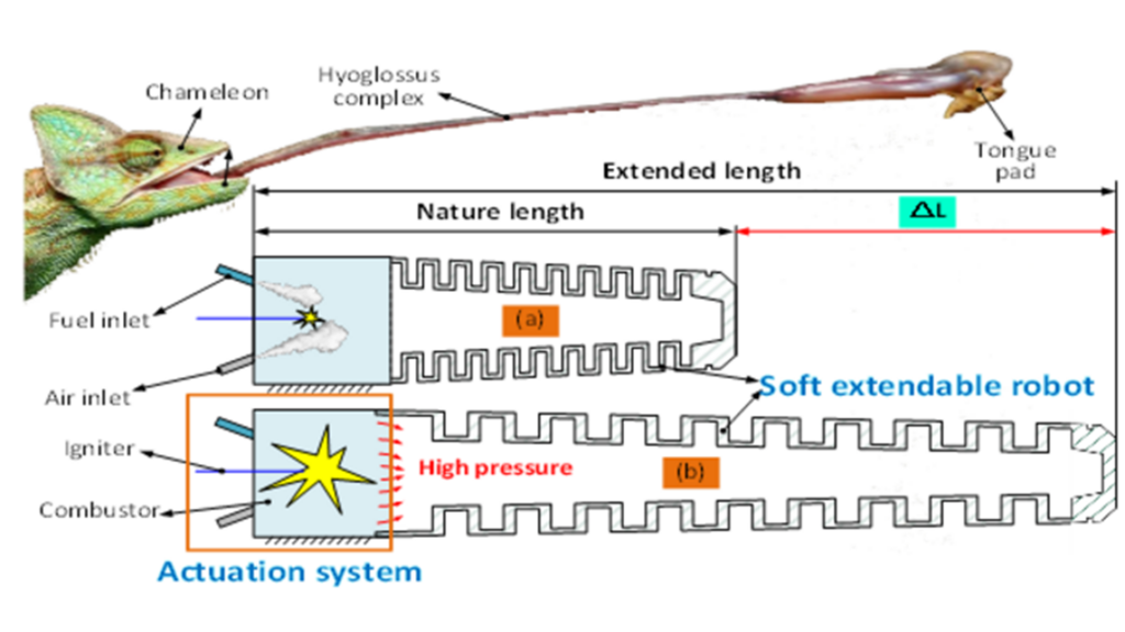 Designing the most efficient soft robots
