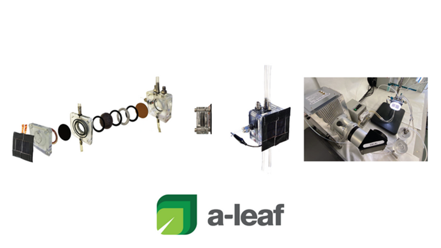 A-LEAF project achieves world-record results