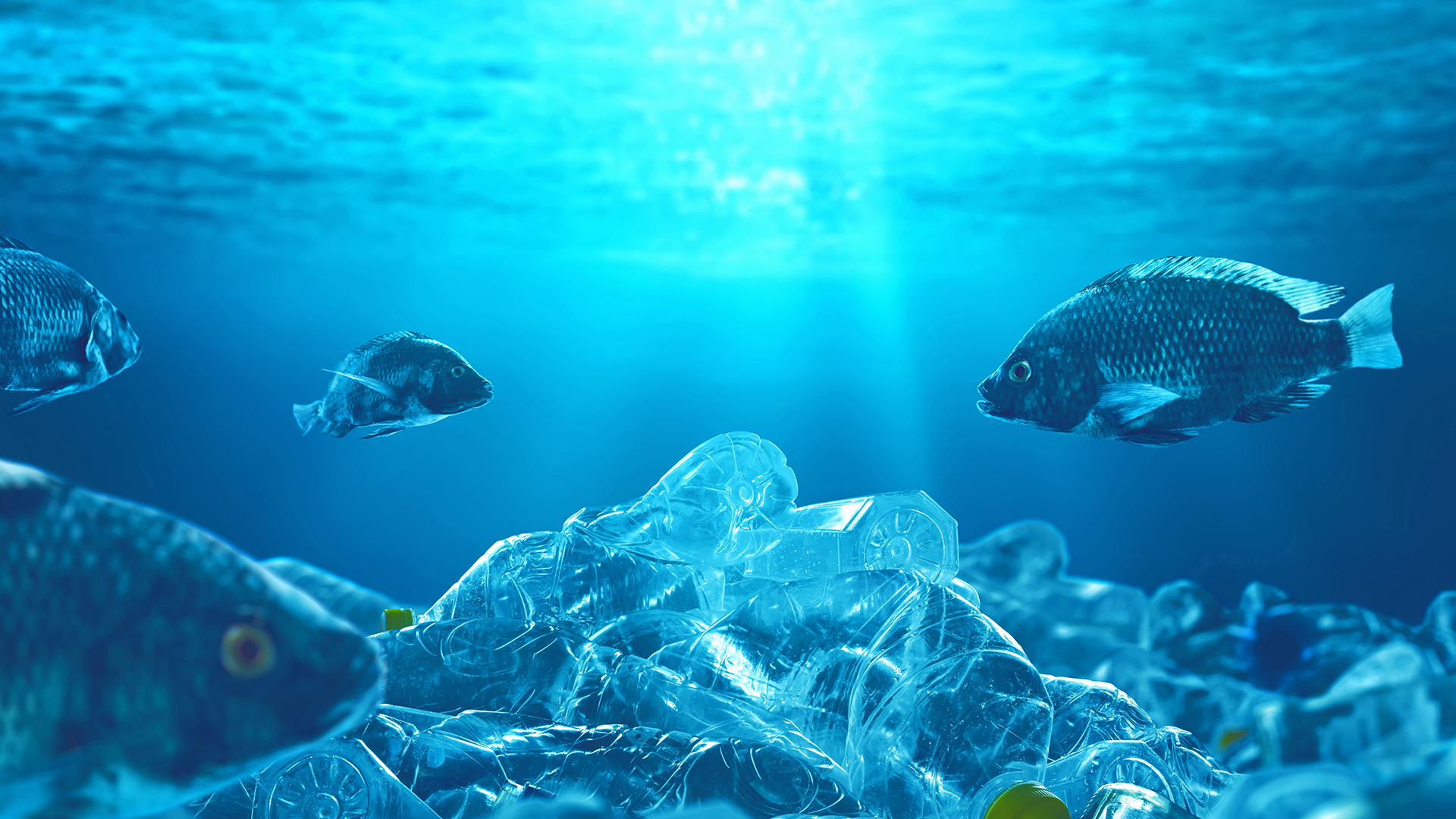 PFAS – the ‘forever chemicals’ that need our immediate attention