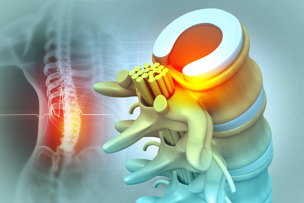 New platform aims to transform the study of spinal cord biology